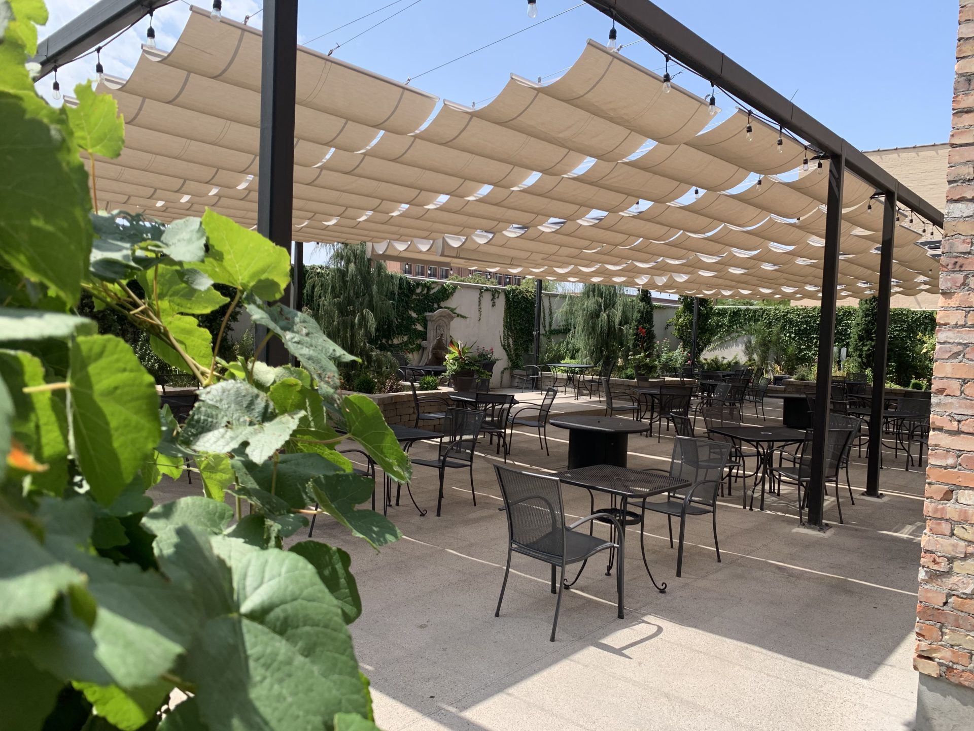 Caffé Molise: A Culinary Gem in Salt Lake City - Seven Slopes